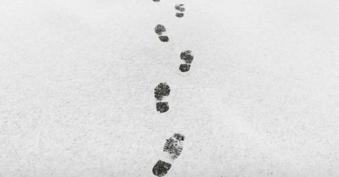 How to Trace Search Queries in Elasticsearch, With Examples